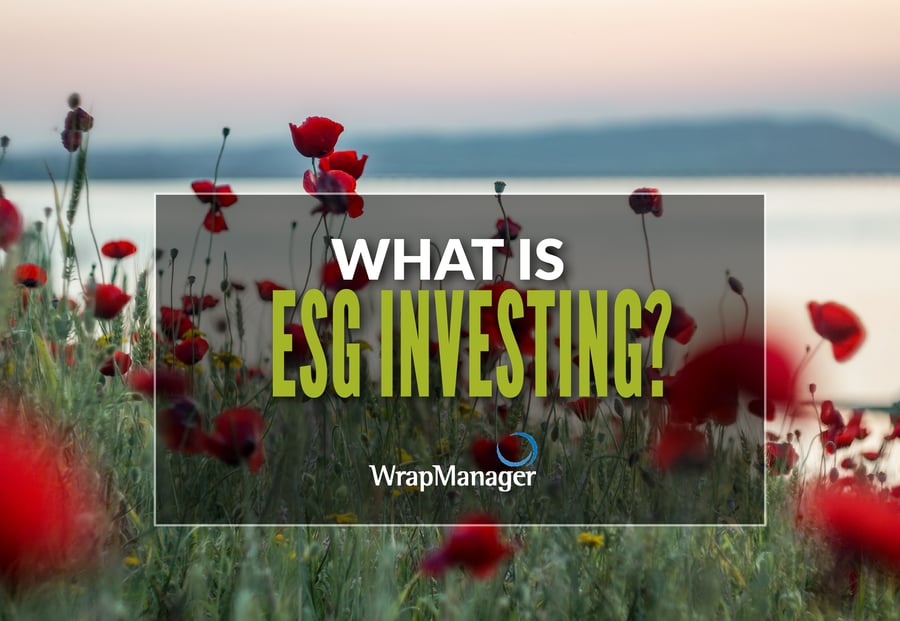 Wealth Management Blog | WrapManager | esg investing